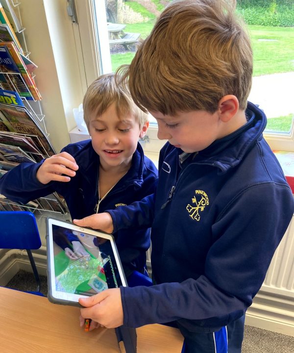 About Pinewood - Pinewood School